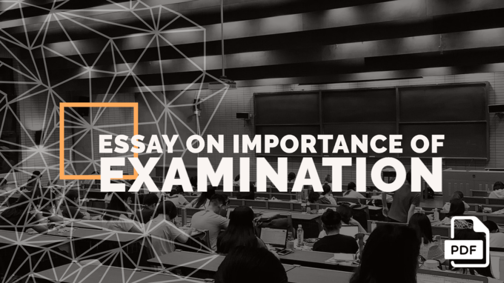 Importance Of Examination Essay In English With PDF English Importance Of Examination Essay In English With PDF English
