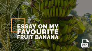 An Essay on My Favourite Fruit Banana [PDF] - English Compositions