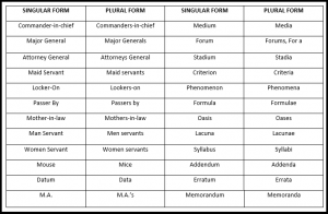 Noun in English Grammar with Examples [With PDF] - English Compositions
