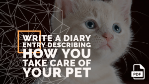 Write a Diary Entry Describing How You Take Care of Your Pet - English ...