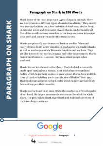 Paragraph & Short Essay on Shark [100, 200, 400 Words] With PDF ...