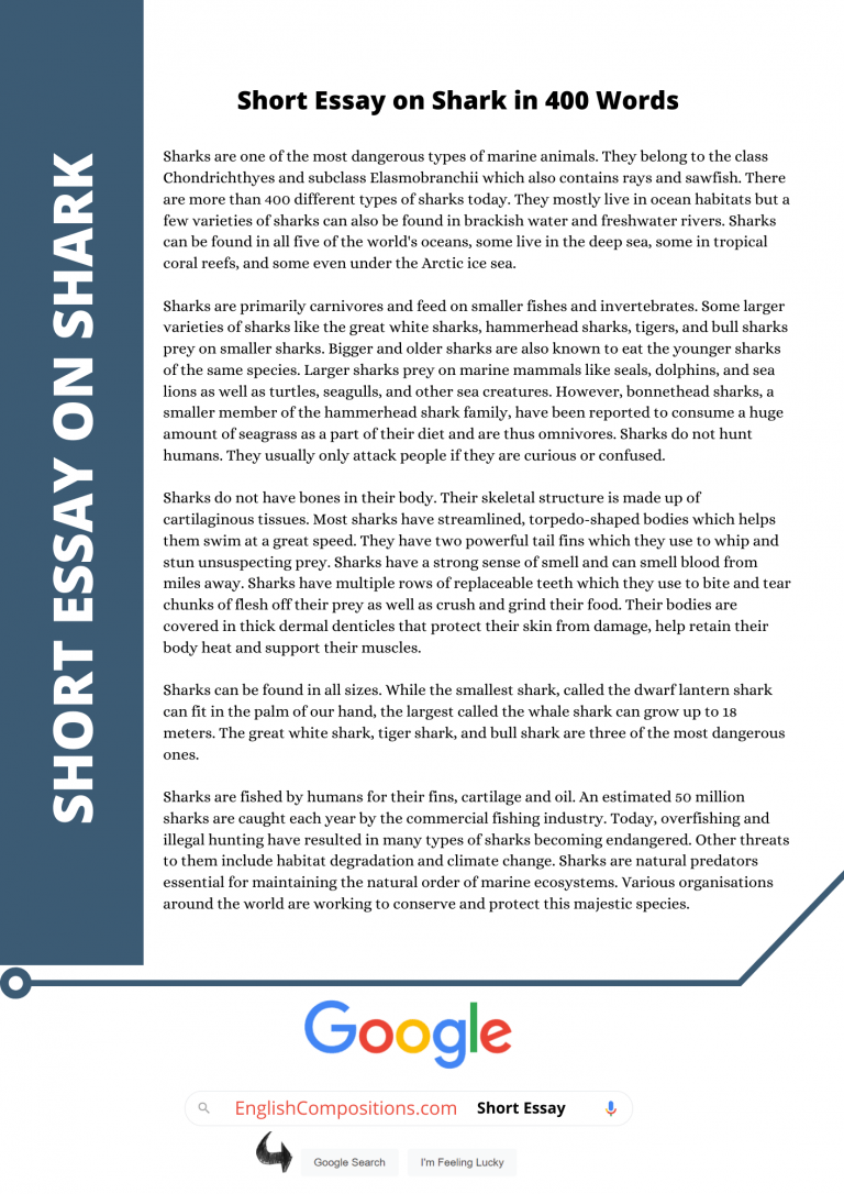 Paragraph & Short Essay on Shark [100, 200, 400 Words] With PDF ...