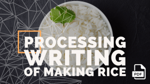 Processing Writing of Making Rice [With PDF] - English Compositions