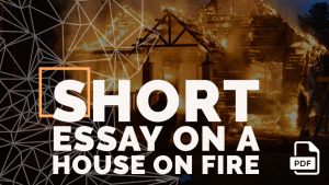 Short Essay on a House on Fire [100, 200, 400 Words] With PDF - English ...