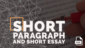100, 200, 400 Words Paragraph and Short Essay [With PDF] - English ...